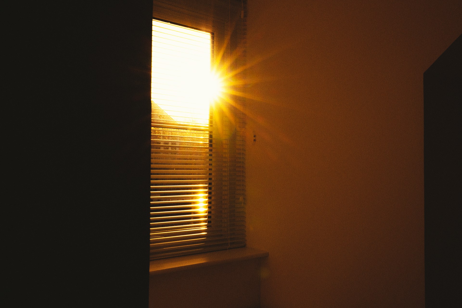 Best Window Films to Cut Glare in Your Home
